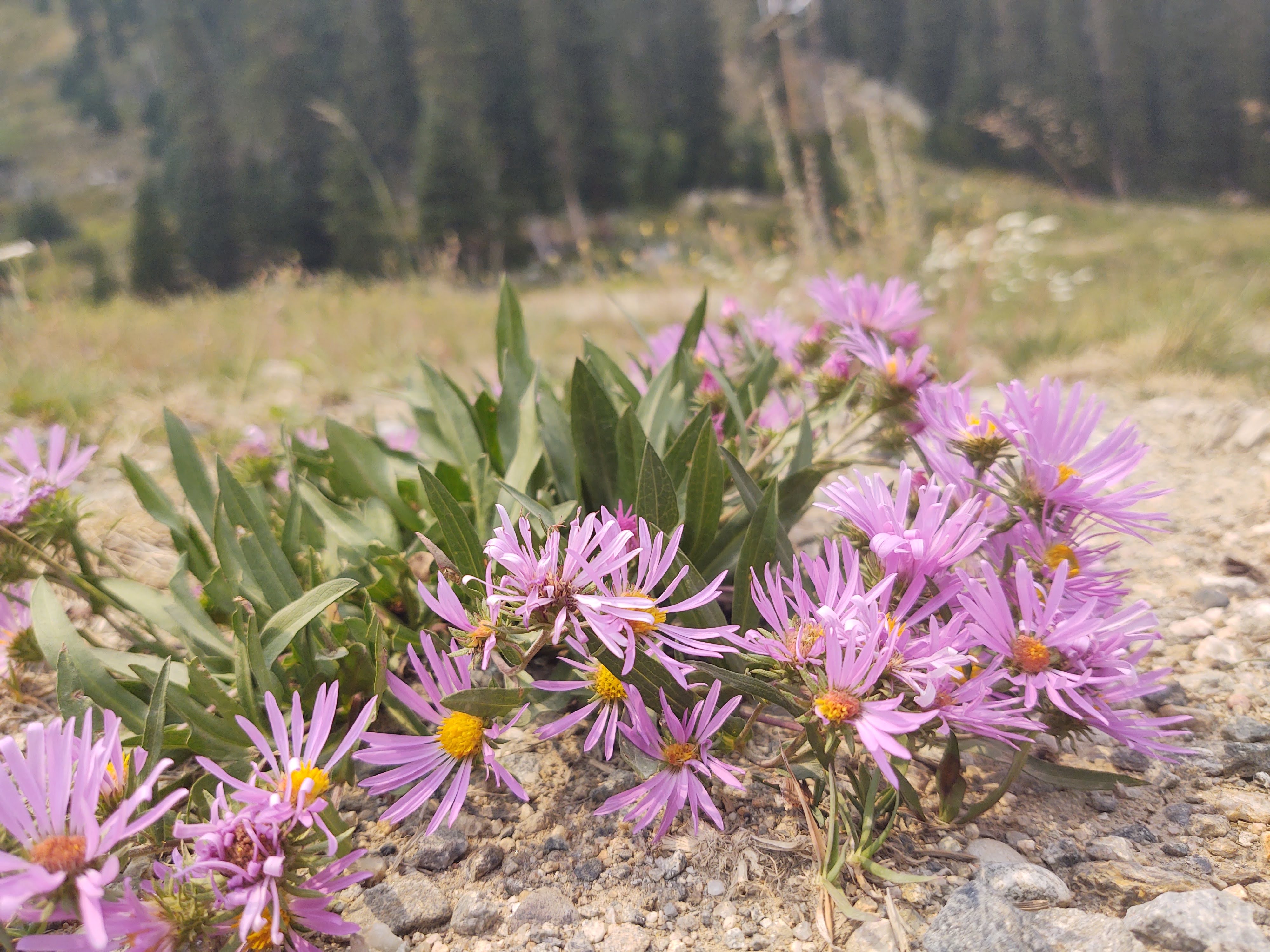 How to Fine-tune a Well-formed Conscience | Wellspring